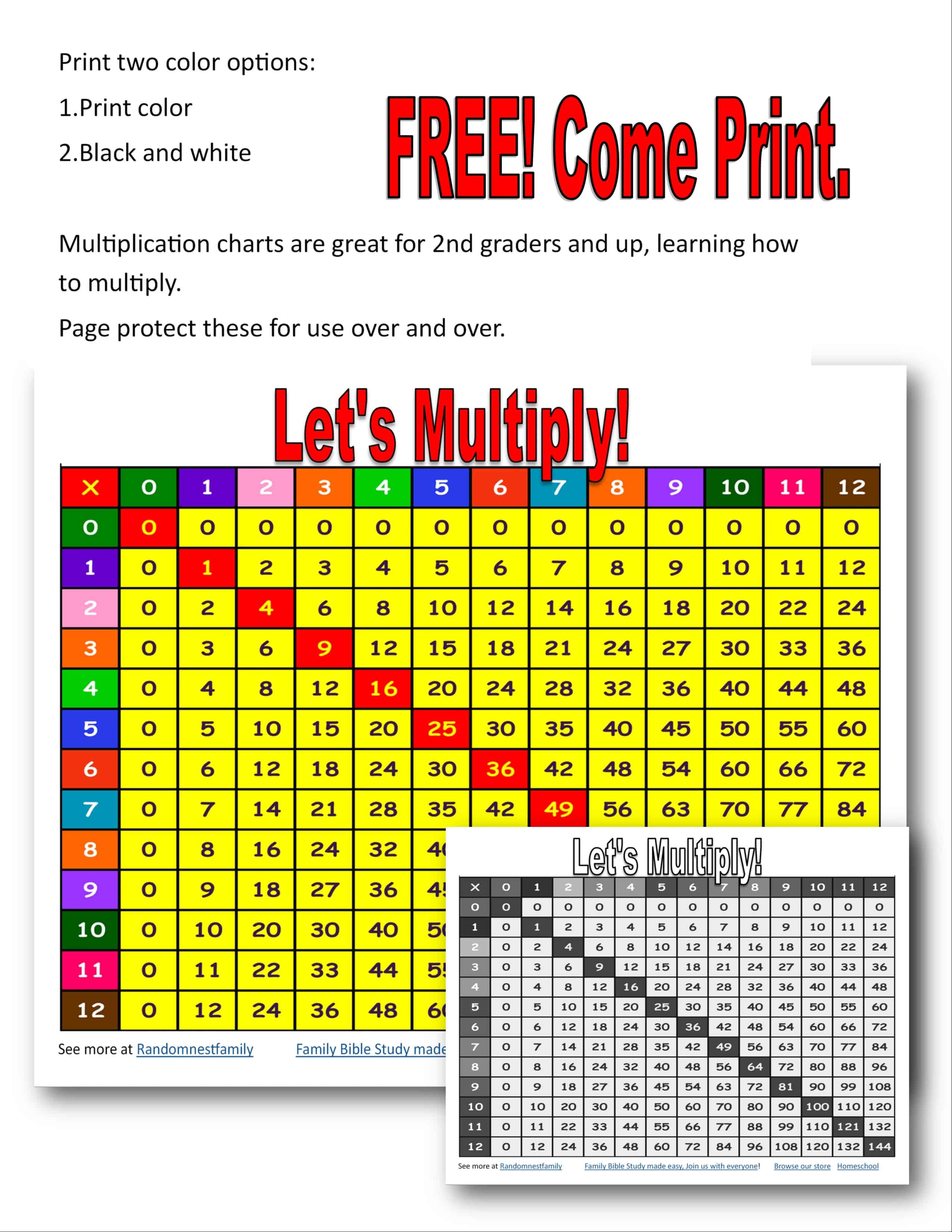 Shop Homeschool and Bible | Randomnestfamily