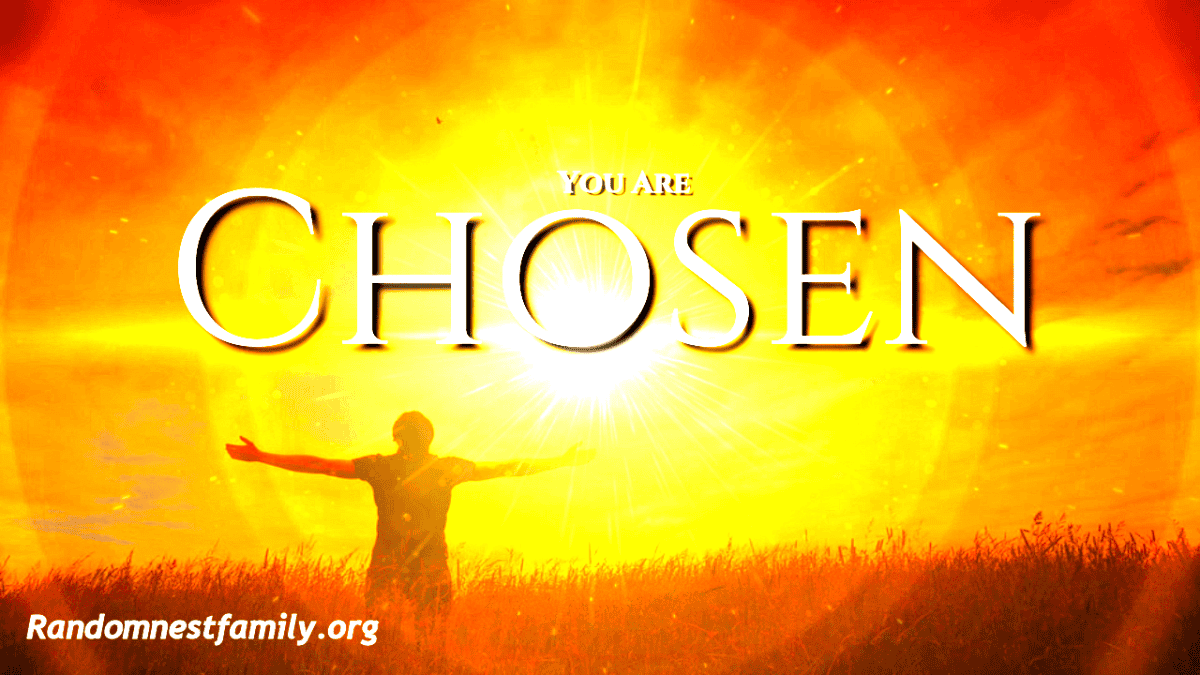 Who is Chosen? | How to Be Chosen | Randomnestfamily