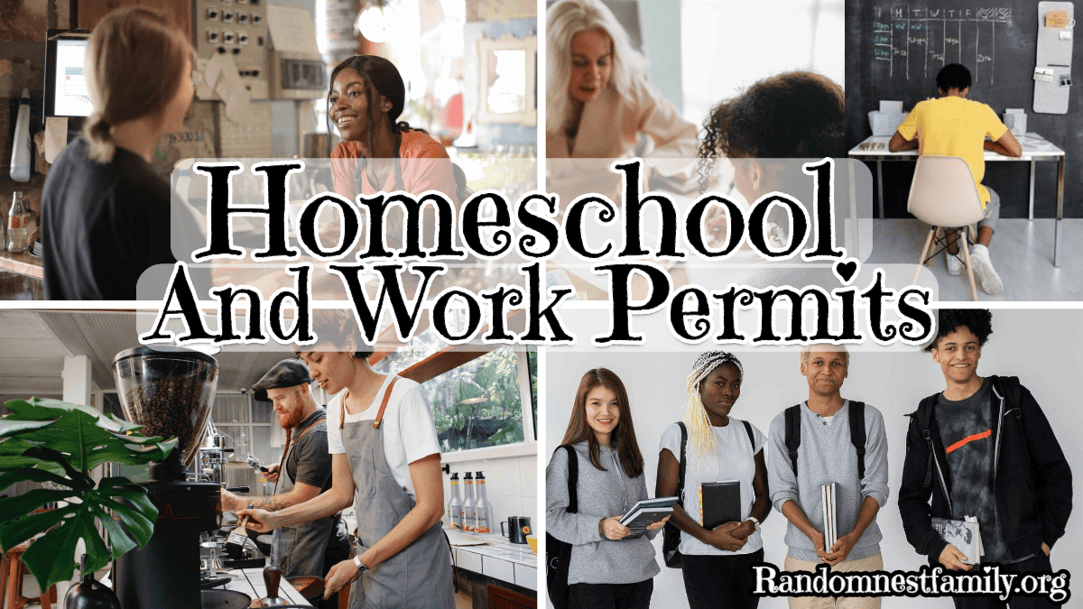 Homeschool And Work Permits | How to Be Certified 💼