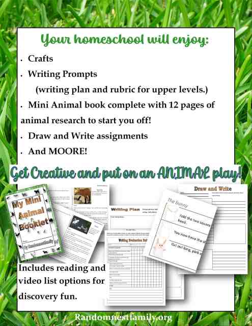 Animal Unit Study