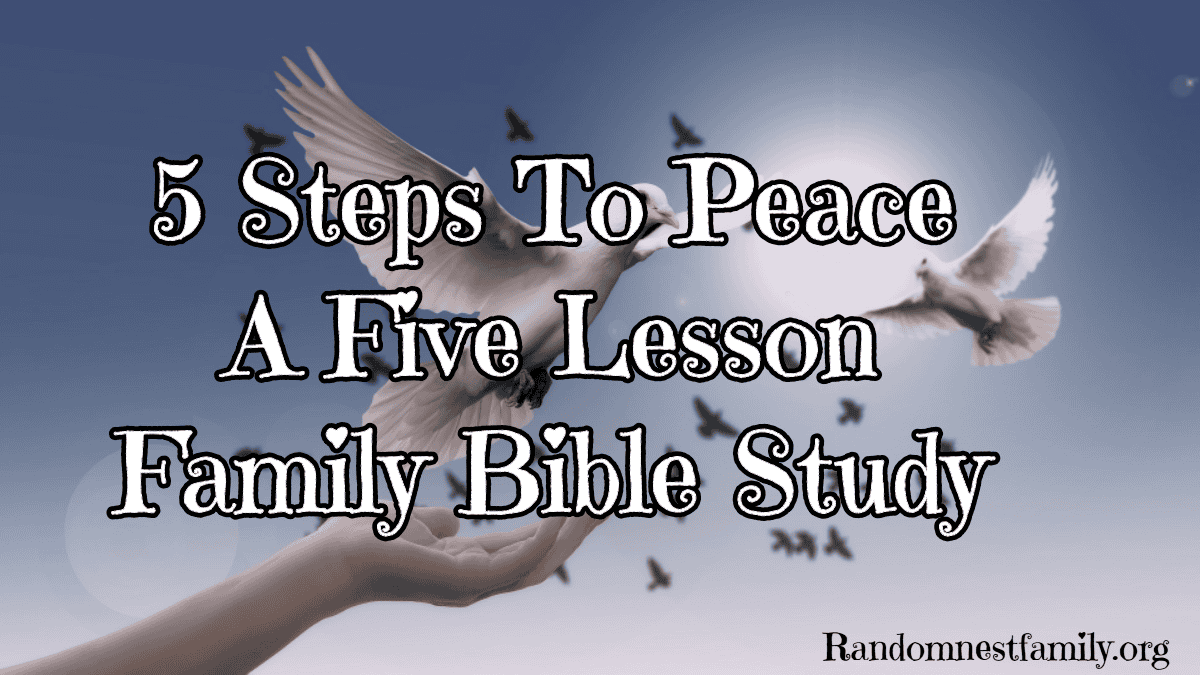 Focus On Your Family: Family Bible Study | Randomnestfamily